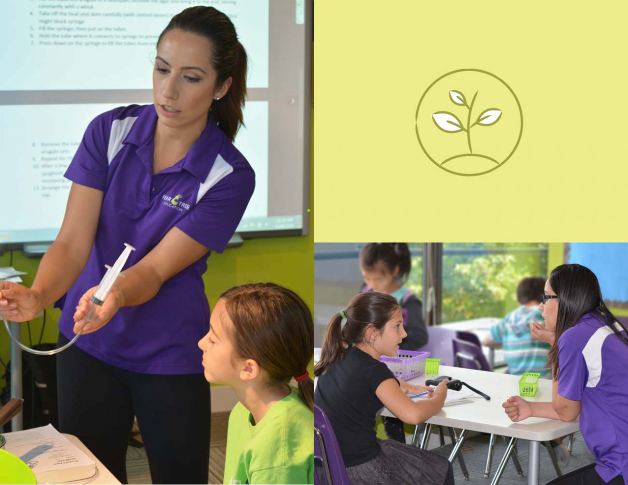 Pear Tree Education - Enrichment Classes in Vancouver